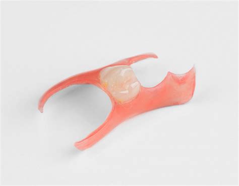 Order Nesbit Flexible Partial Denture Dental Lab Direct