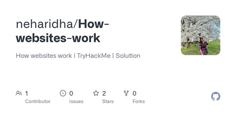 GitHub Neharidha How Websites Work How Websites Work TryHackMe