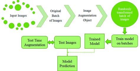 Train And Test Time Data Augmentation Download Scientific Diagram