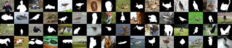 Duts Salient Object Detection Dataset Kaggle
