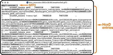 gff3 output biologist j