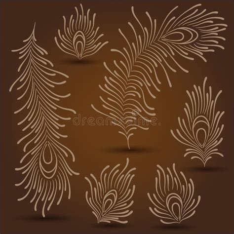 Peacock Feathers Stock Vector Illustration Of Arabic 76695960