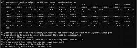 Windows Certificate And Teamcity Server Teamcity Support