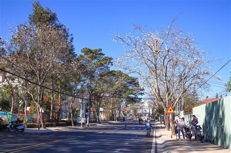 도로 거리 도시 Pixabay의 무료 사진 Pixabay