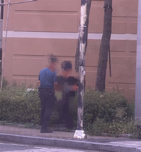 눈 앞에서 성추행범 봤다 포텐 터짐 최신순 에펨코리아