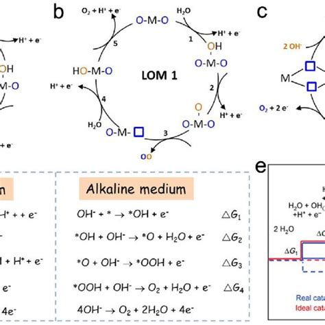 A Aem For Oer B Lom 1 For Oer With One Oxygen Atom Originated From The Download Scientific