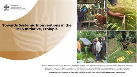 Towards Systemic Interventions In The Mfs Initiative Ethiopia Cgiar