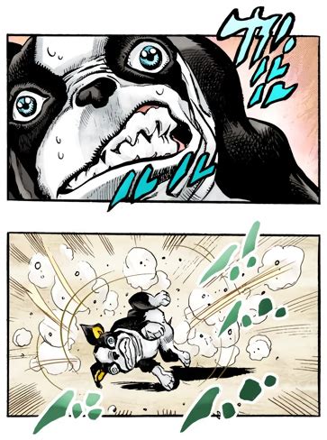 File ASBR Iggy Taunt C Ref Png JoJo S Bizarre Encyclopedia JoJo Wiki