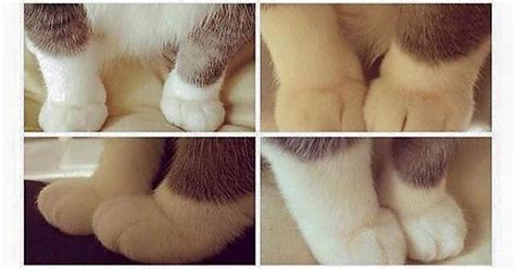 Footers Will Make You Feel Better Imgur