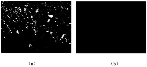 Crowd Density Estimation Method Based On Multi Scale Convolutional