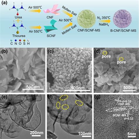 Dft Calculations Side And Top Views Of The Structural Models For A Download Scientific