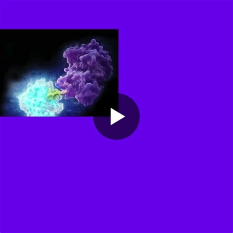 Hibit Drugdiscovery Crispr Celllinedevelopment Biotechtools