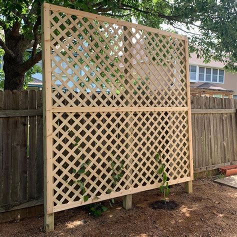 Gorgeous And Fresh DIY Trellis Ideas