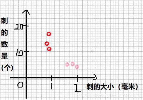 Python神经网络学习 神经网络知识先导（二） 分类器是什么东西？神经网络中的分类器是 Csdn博客