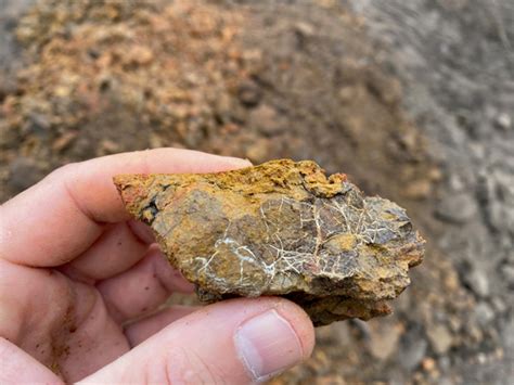 Evs Laboratory And Civil Services Civil Engineering Field Testing