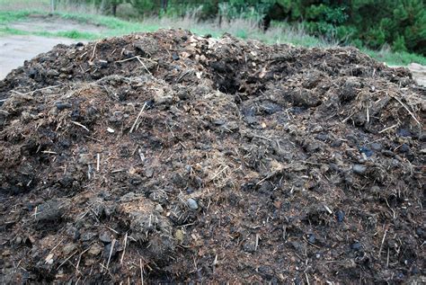 Constructing And Managing A Horse Carcass Compost Pile Umn Extension