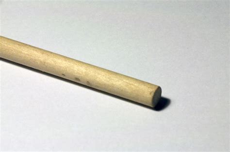 Totonika destroyed the stick | Hamster blog - Totonika hamster adventures