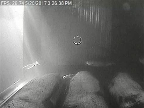 Traffic Object Detection Dataset And Pre Trained Model By Trraficc