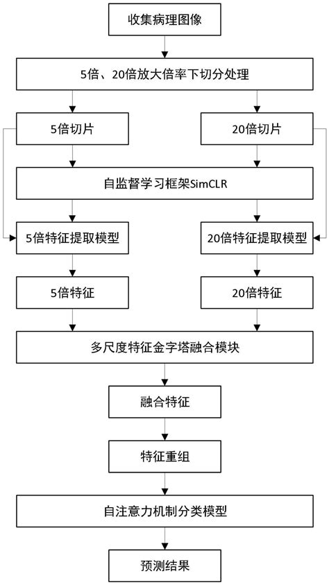 融合多尺度特征上下文的全视野数字切片图像分类方法