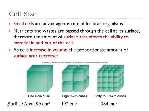 PPT Cell Biology Cell Structure And Function PowerPoint Presentation ID