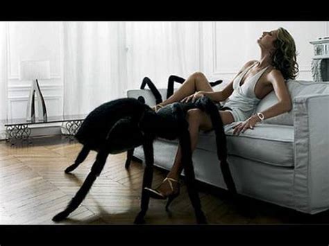 I M Not Having Sex With You YouTube