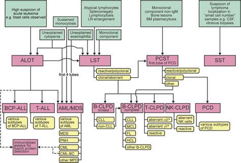 Hematology Disease Flow Chart Differential Algorithm For The Causes Of