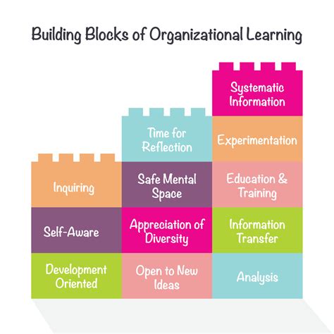 Building Blocks Of Organizational Learning Infographic Vector 11514630 Vector Art At Vecteezy