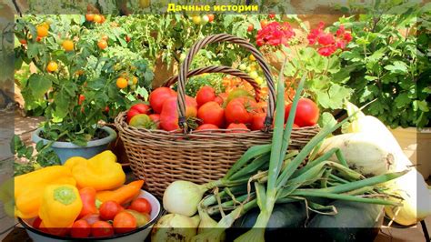 Самые распространенные и трудноисправимые ошибки которые дачники допускают при выращивании