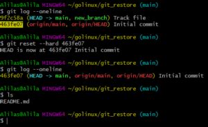 Let S Decode Git Restore For You Practical Examples Golinuxcloud