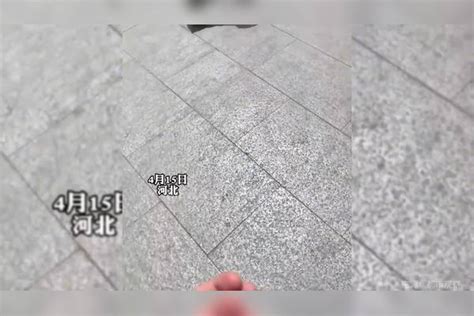 男子拿两毛钱硬币施舍流浪汉，流浪汉拒绝了