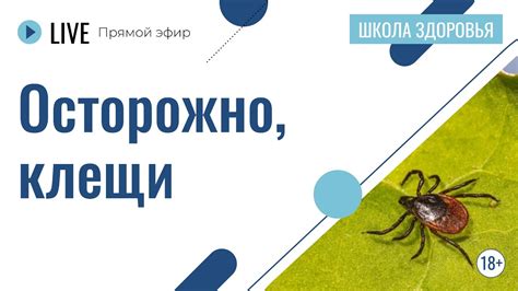 Осторожно-клещи! | Лекция - YouTube