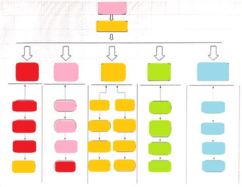 Organizational Chart Diagram Quizlet