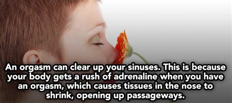 Weird Sex Facts You Ll Remember Forever Wow Gallery Ebaum S World