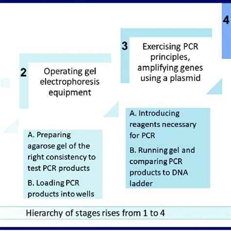 Hierarchy Of Teaching High School Molecular Biology Lab Stages Download Scientific Diagram