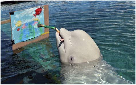 초현실주의 화가 벨루가 작품세계 Mlbpark