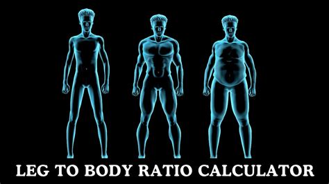 Leg To Body Ratio Calculator