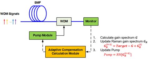 The Realization Of Dynamic Compensation With Raman Arbitrary Gain