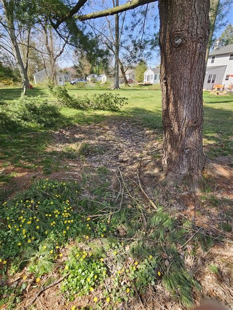 Complete Noob Needing Some Guidance Rraingardens