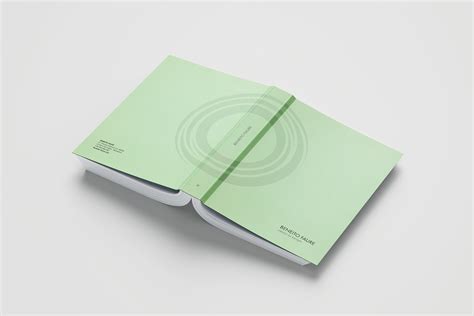 New Beneito Faure Catalog C Double The Number Of Pages And Double The Innovation Beneito Faure