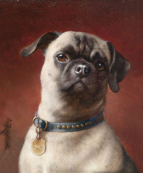 What Pugs Used To Look Like Before Inbreeding R Pics