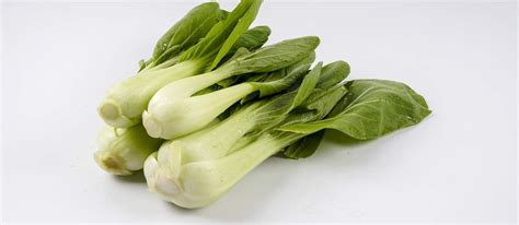 Choy Sum Local Cabbage From China Tasteatlas