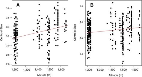 Linear Regression For Centroid Size And Altitude For Both Sexes Of A