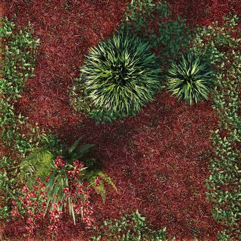 Trim Render Partners Up With Nft Experts To Deliver Custom Made Unique