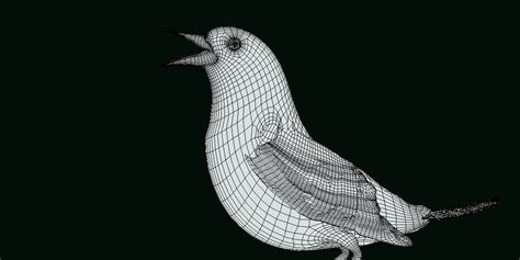 Golden Cheeked Warbler Songbird 3d Model By Nyilonelycompany