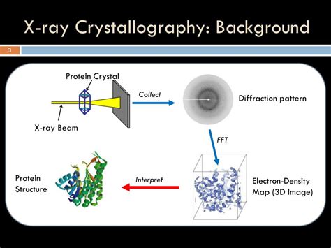 Ppt Guiding Belief Propagation Using Domain Knowledge For Protein Structure Determination
