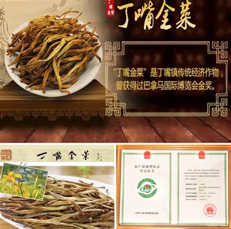 重磅丁嘴金针菜获批中国重要农业文化遗产 我苏网