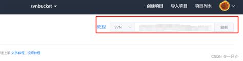 svn checkout 的时候一直提示输入账号密码 tortoisesvn一直让输入账号密码 csdn博客
