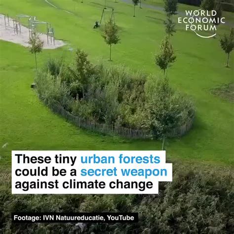 Hesam Hosseini Posted On Linkedin