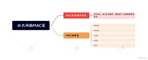 数据链路层：以太网的mac地址mac子层和mac地址 Csdn博客