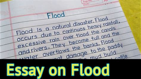 How To Prevent Flood Essay The Dizaldo Blog
